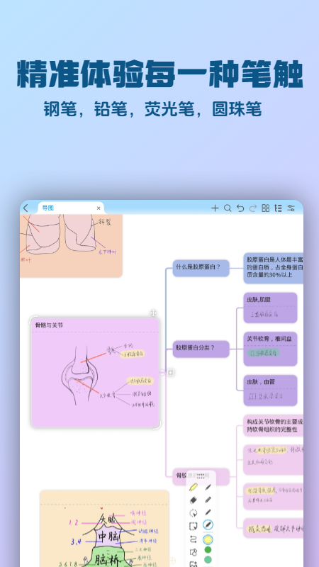 Mindhive思维导图app-官方正版软件2025最新版本免费下载-应用宝官网